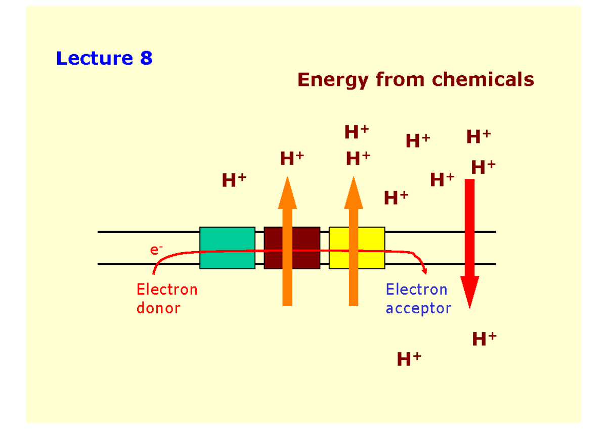 LIFE101 Lecture 9, photosynthesis & ET - Lecture 8 Energy from ...