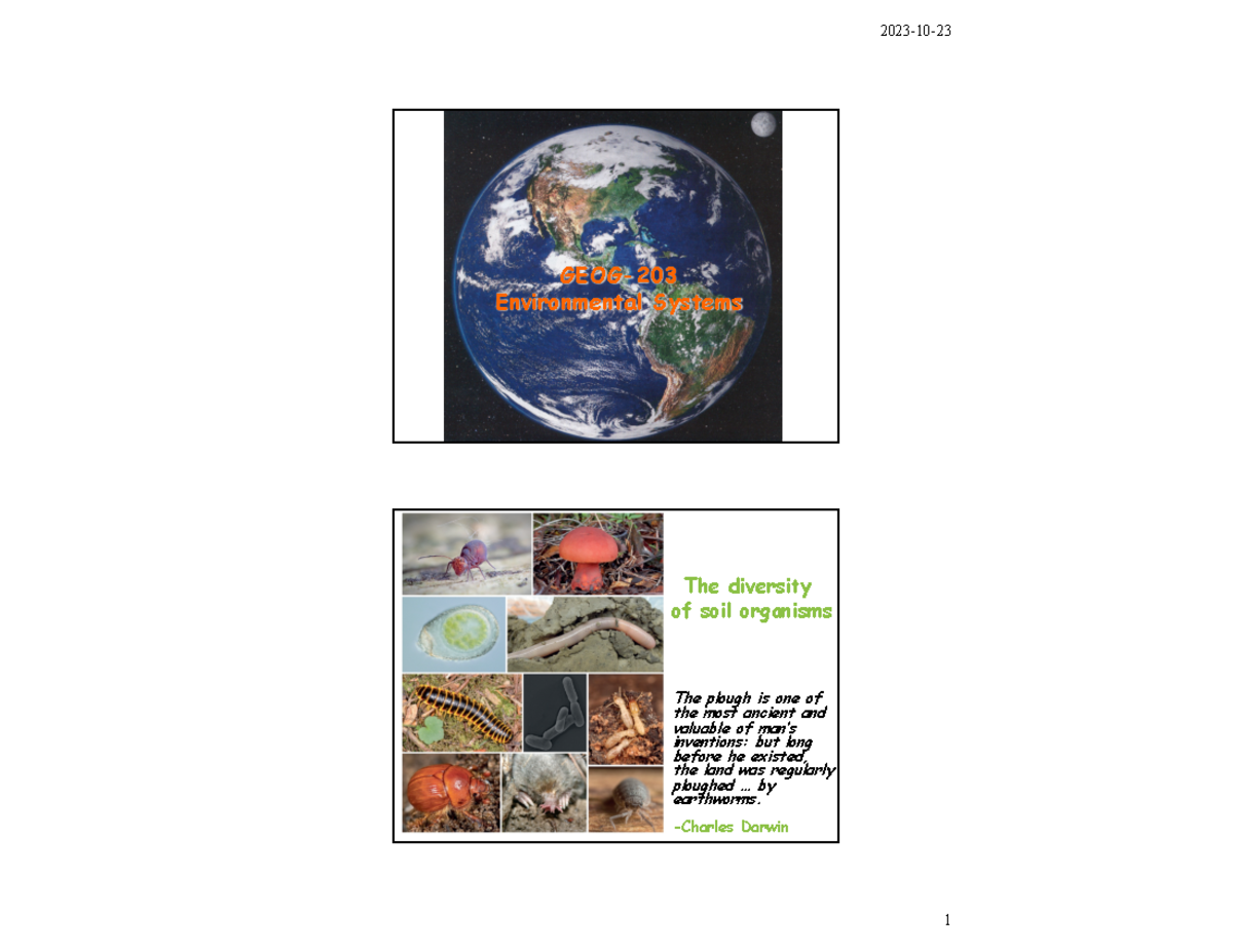 203S2 L5 2023 Soil organisms - GEOG- 203 Environmental Systems The ...