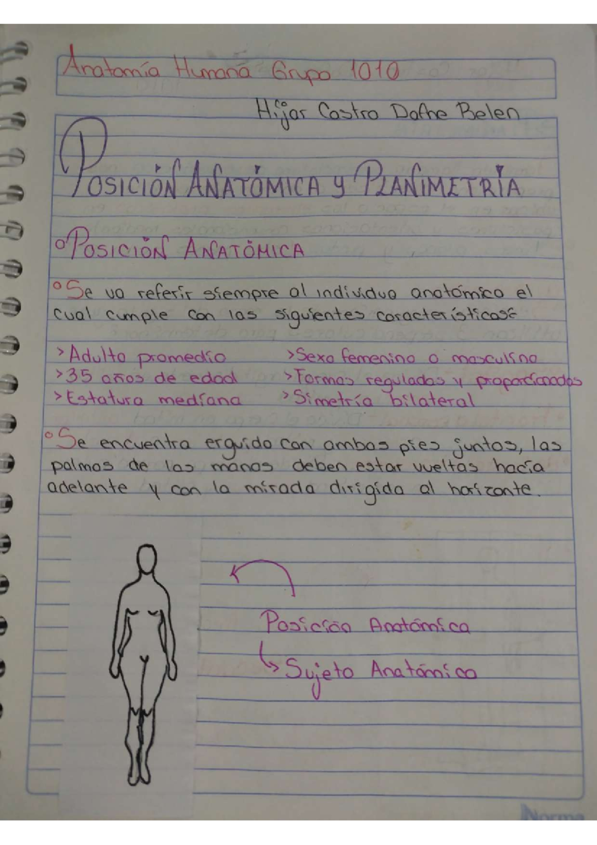 Posición Anatómica y Planimetría - Aratomia Humana Grupo 1010 Hijar ...