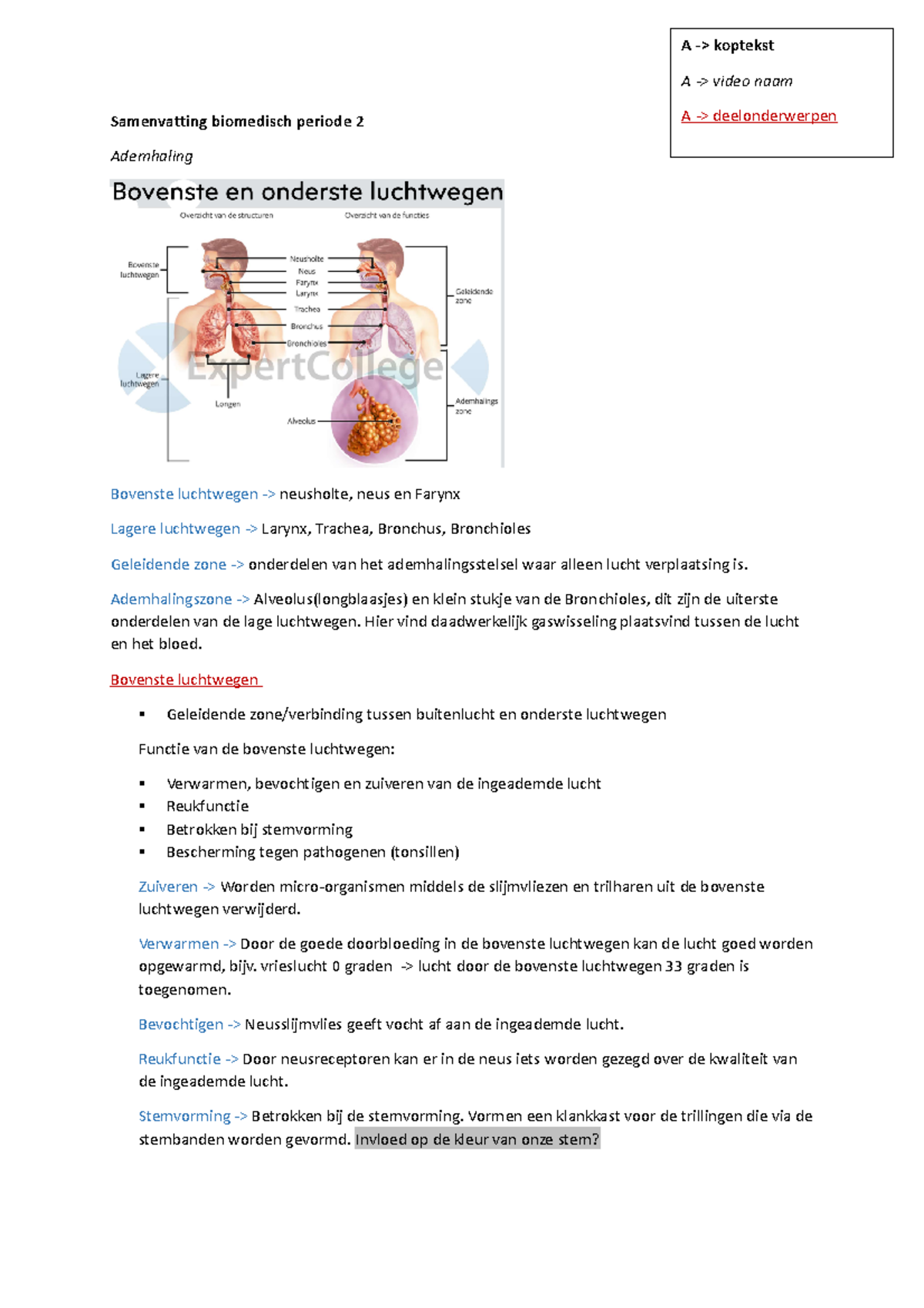 biomedisch samenvatting luchtwegen - Samenvatting biomedisch periode 2 ...
