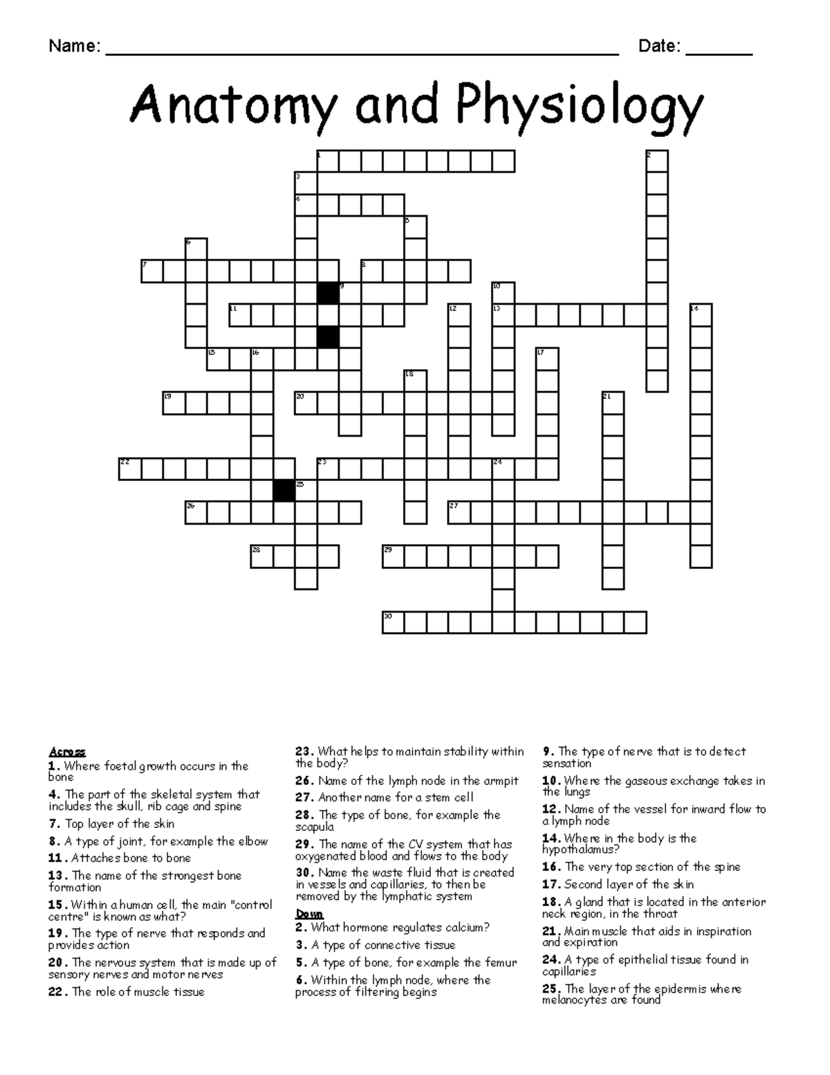 Anatomy and Physiology Crossword - Name