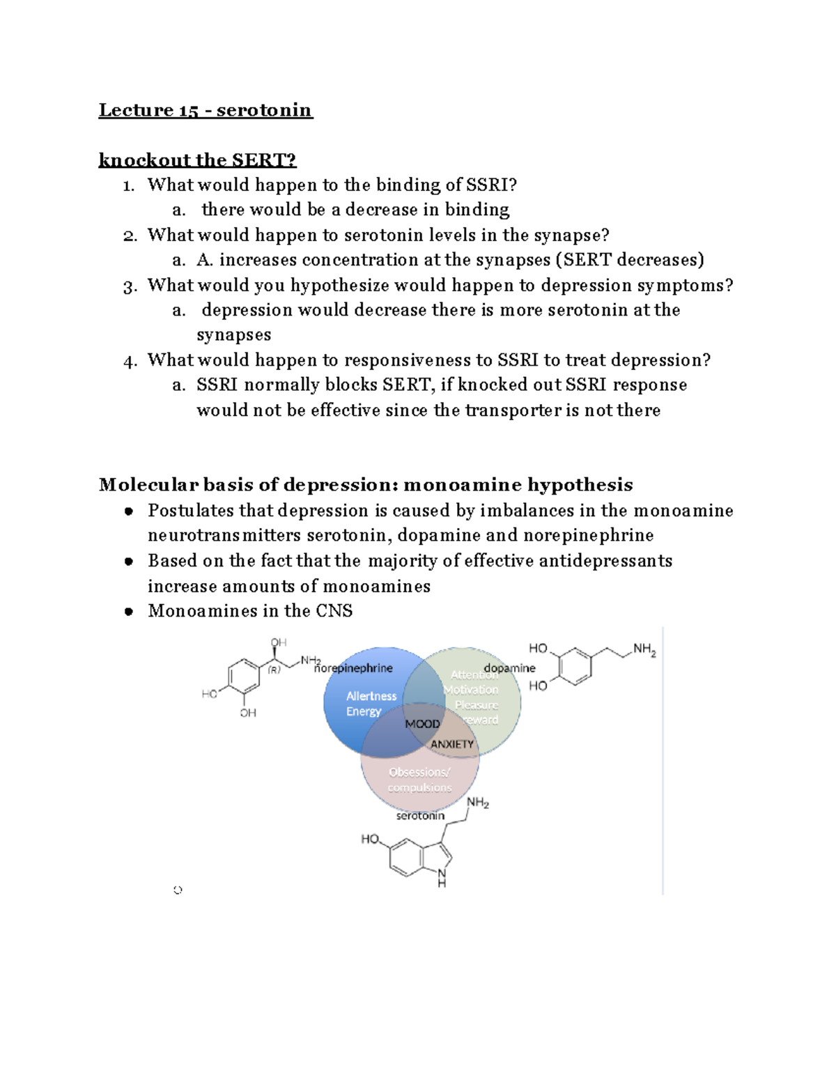 Pharmacology Lecture 15 - serotonin - Lecture 15 - serotonin knockout ...