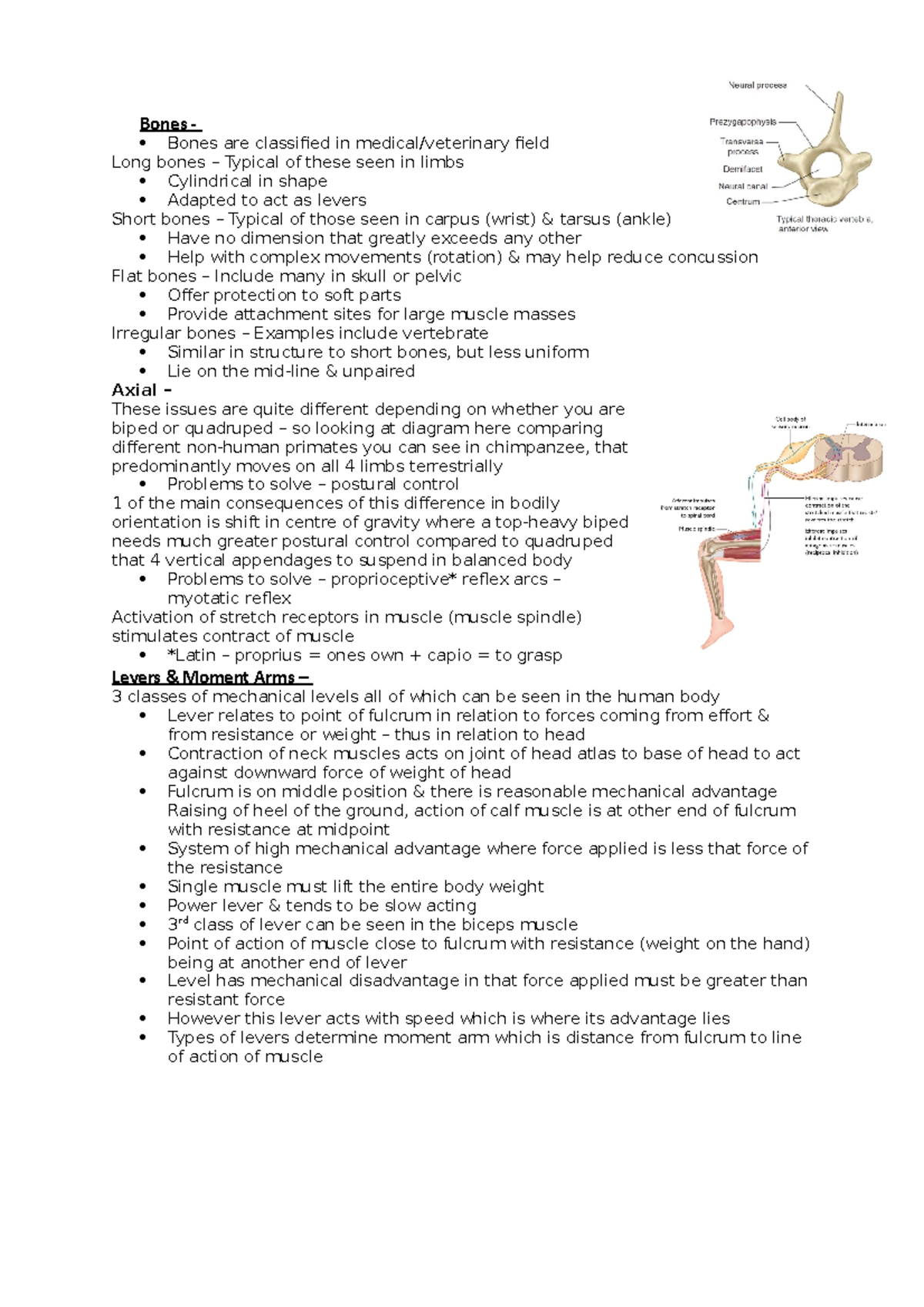 Bones - Lecture notes - Bones - Bones are classified in medical ...