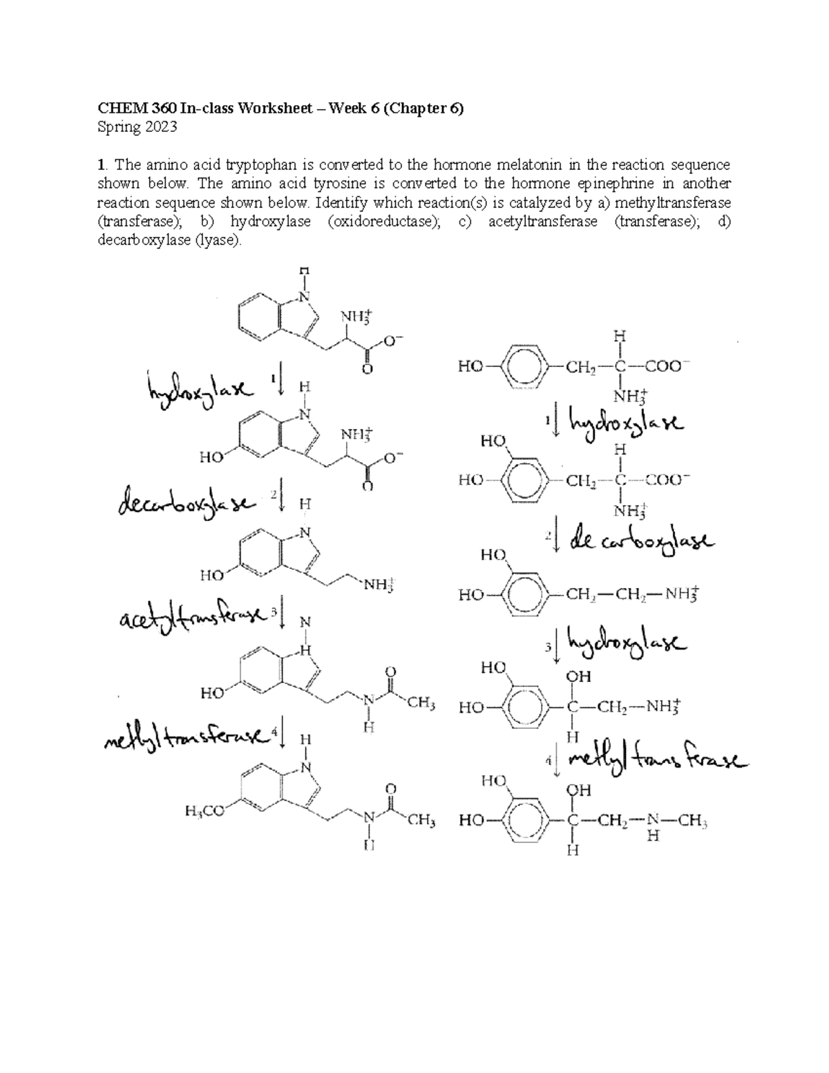 CHEM360 Week 6 Worksheet (Chapter 6 answers) - CHEM 360 In-class ...