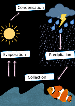 TNST5112 MO - MODULE OUTLINE - TEACHING INTERMEDIATE PHASE NATURAL ...