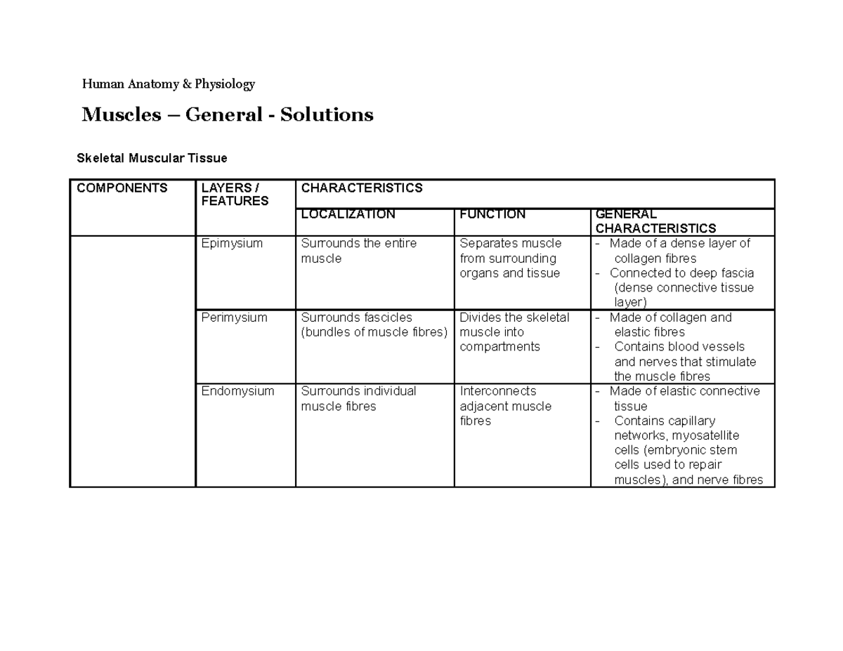 Muscles General Solutions - Human Anatomy & Physiology Muscles ...