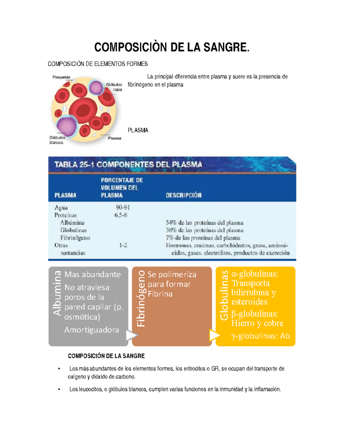 Composiciòn DE LA Sangre-hem - COMPOSICIÒN DE LA SANGRE. COMPOSICIÓN DE ...