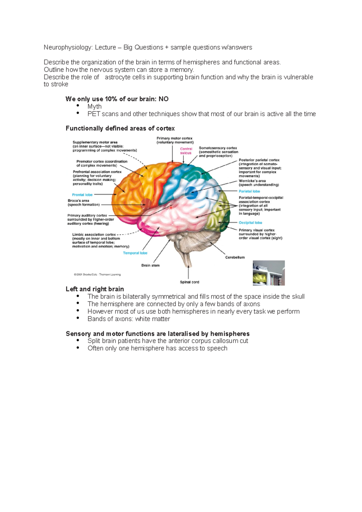 Neurophysiology Big Questions Lecture - Neurophysiology: Lecture – Big ...