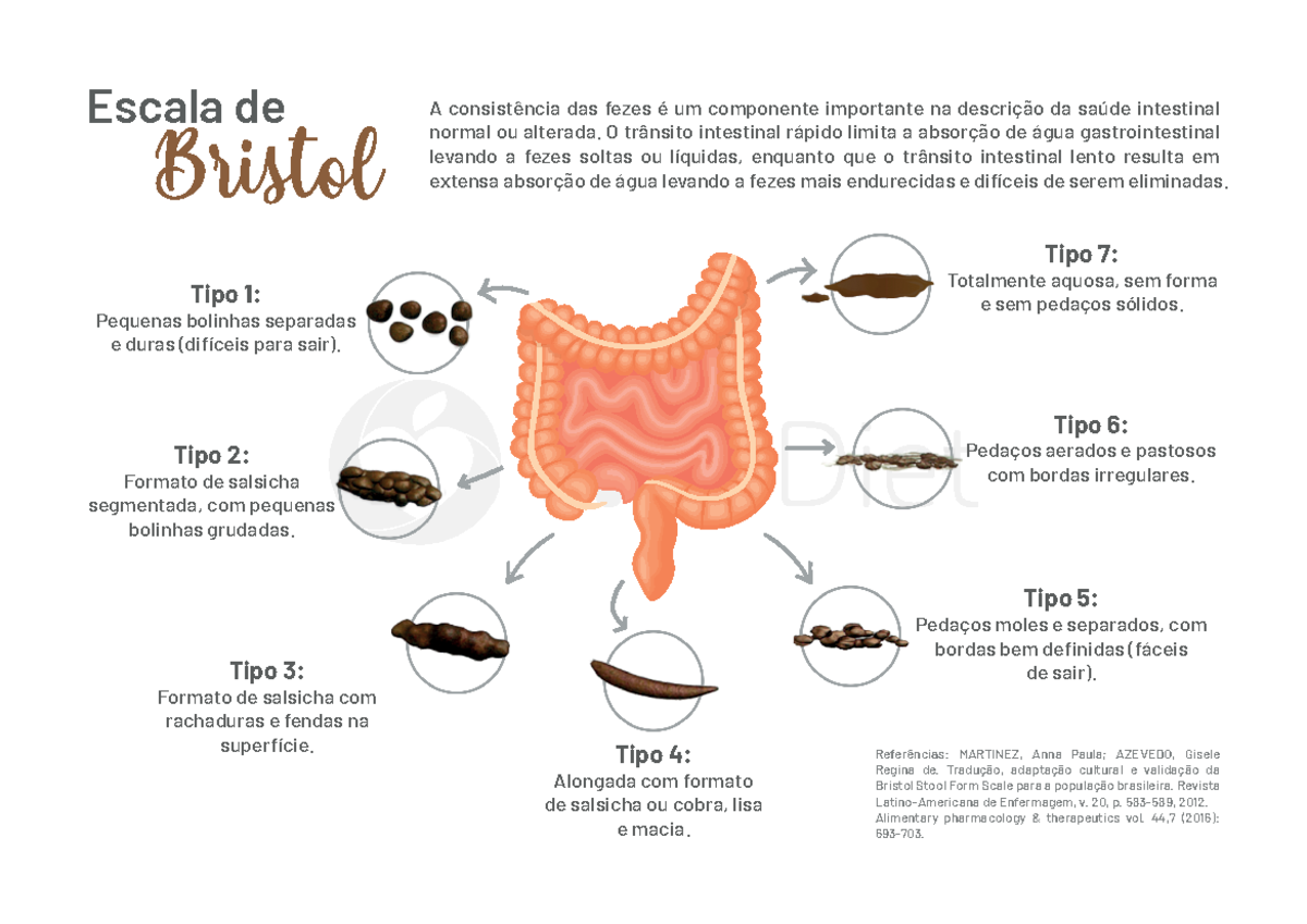 SOLUTION: Escala de fezes bristol - Studypool🧓 Experimente a adrenalina ...