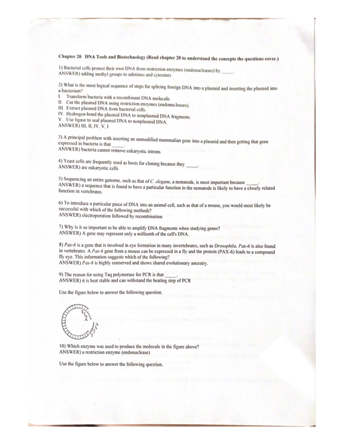 Chapter 20 DNA Tools and Biotechnology (Read chapter 20 to understand ...