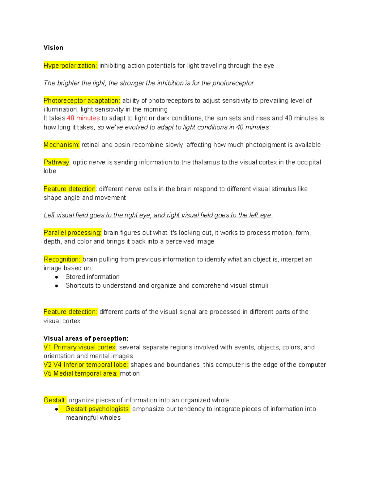 Neuro vision and the eye - Vision Hyperpolarization: inhibiting action ...