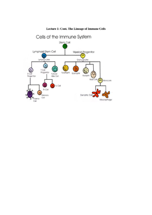 Immunology discusion - A positive. The anti A solution contained ...