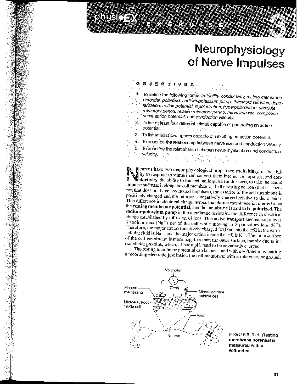 Physio Ex 8 - Dr. Anna Taylor - NSC 4353 - Studocu