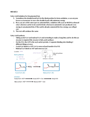 Homegoing - Chapter Akua - Homegoing – Chapter Akua Summary Akua has ...