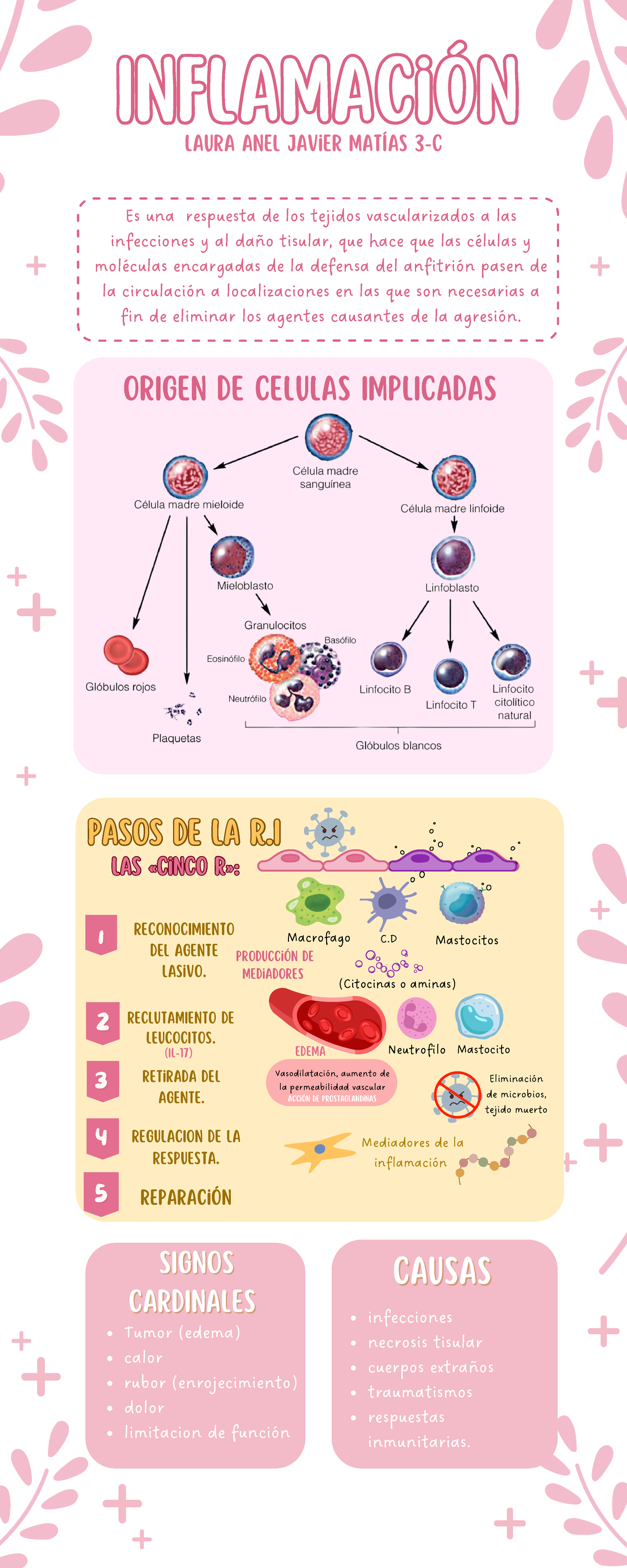 Inflamación - Infografía de un macro resumen del proceso de inflamación ...