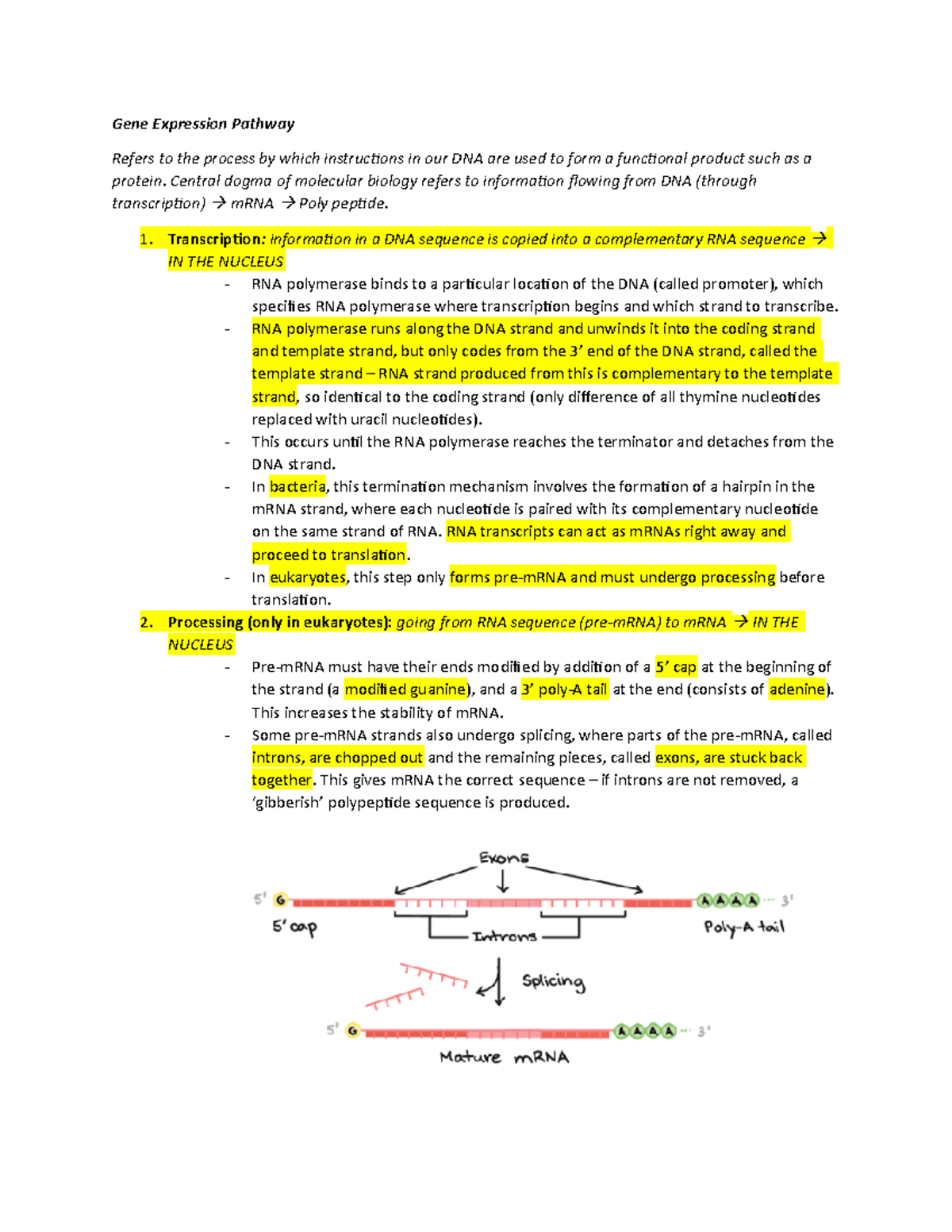 Gene Expression Detailed Pathway Summary - Gene Expression Pathway ...