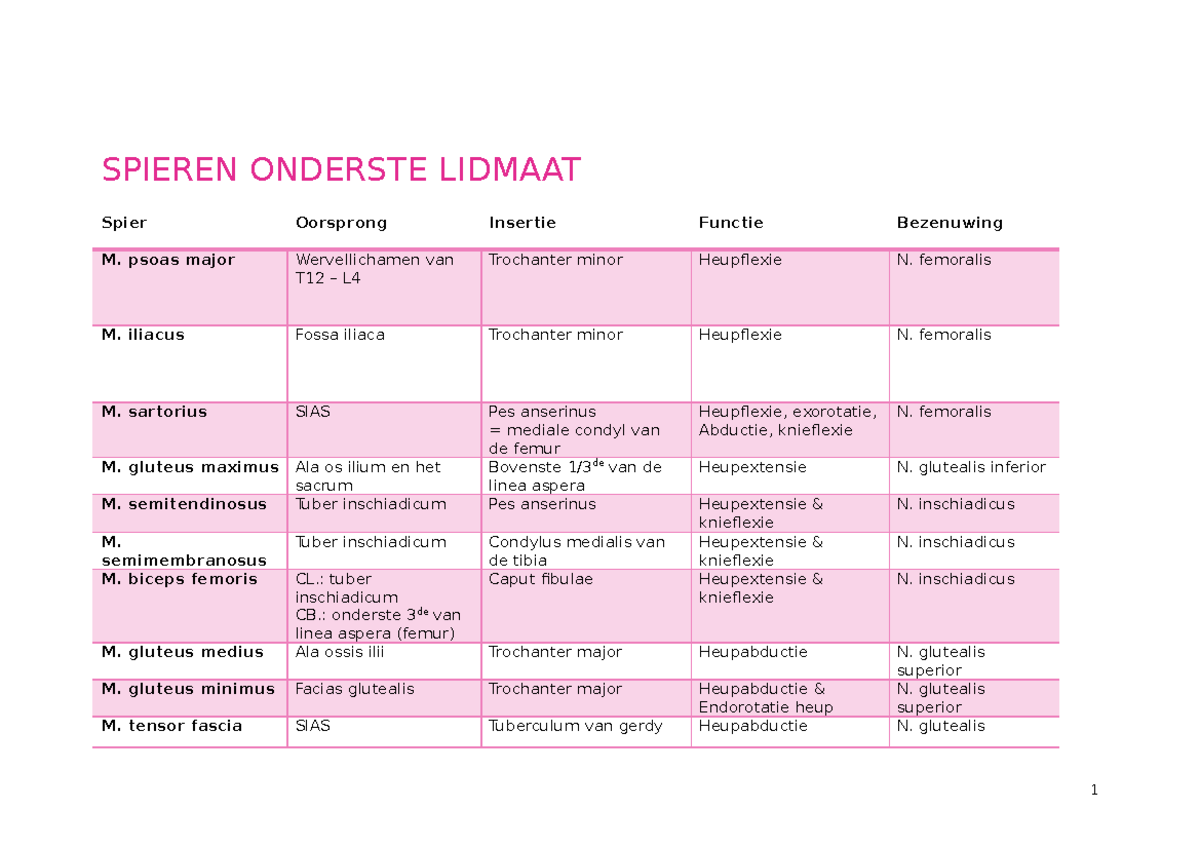 Spieren onderste lidmaat - SPIEREN ONDERSTE LIDMAAT Spier Oorsprong ...
