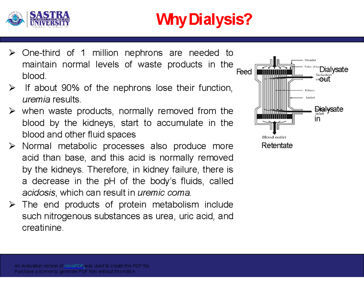 Unit 2 - lecture 56 - Why Dialysis? One-third of 1 million nephrons are ...