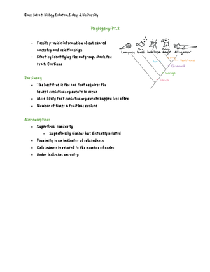 Trophic Cascades - Worksheet completed alongside the hhmi ...