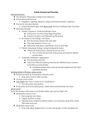 Enzyme Gizmo Student Exploration - Student Guide: Enzymes - AP STEM ...