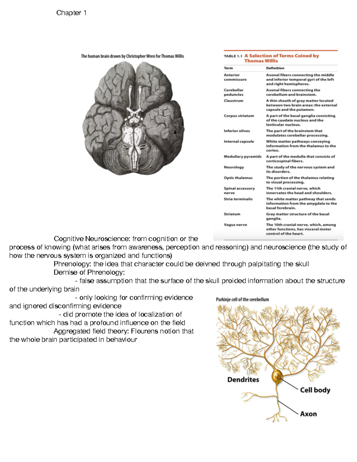 Neuroscience 1-4 - In class lecture notes from slides - Chapter 1 ...