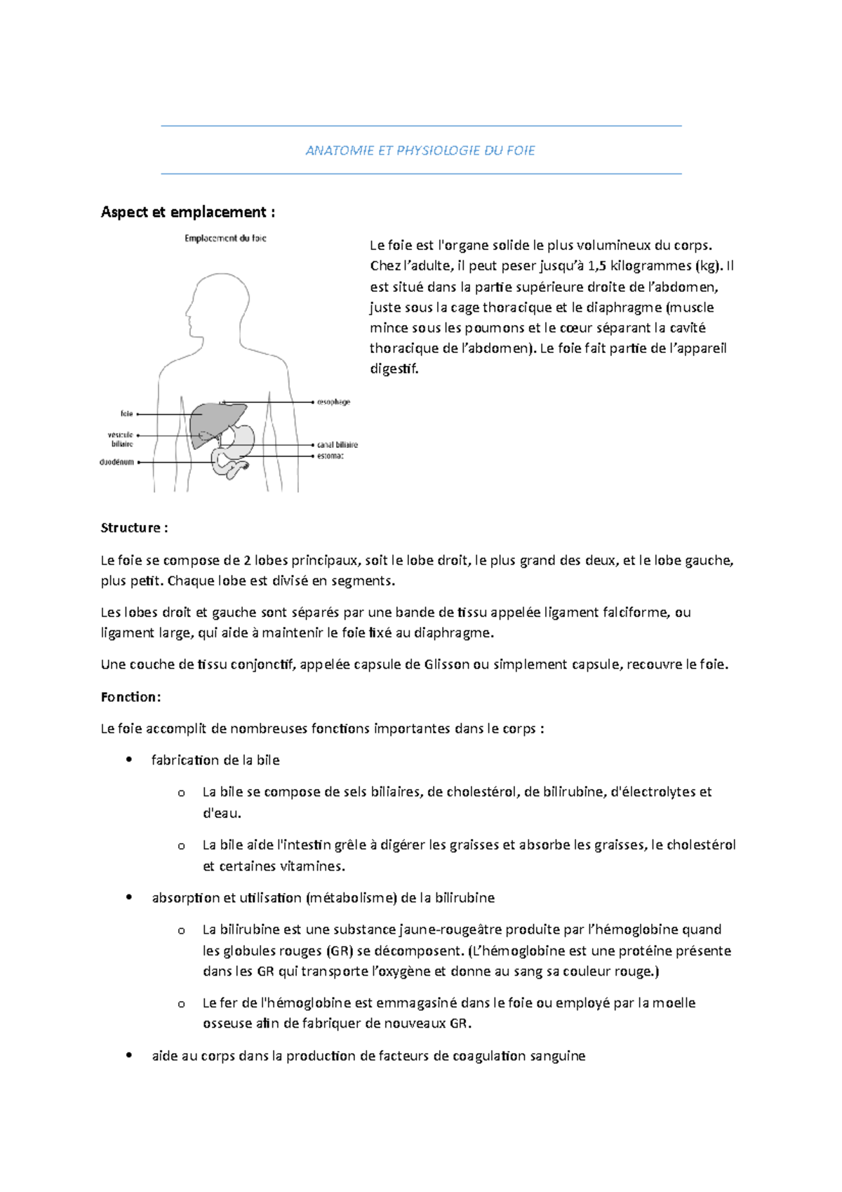 Anatomie ET Physiologie DU FOIE - ANATOMIE ET PHYSIOLOGIE DU FOIE ...