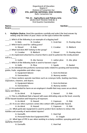 Sptve-Garments Technology 10-Q1-M12 - SPECIAL PROGRAM IN TECHNICAL ...