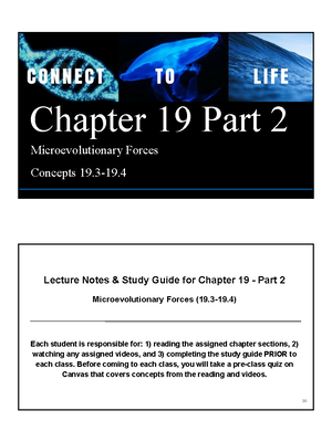 Chapter 14 Part 2 Worksheet And Study Guide Summary Lecture Notes