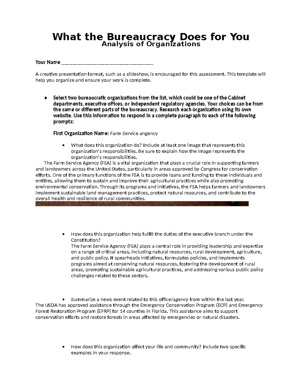 What the bureaucracy does for you template 2 - What the Bureaucracy ...