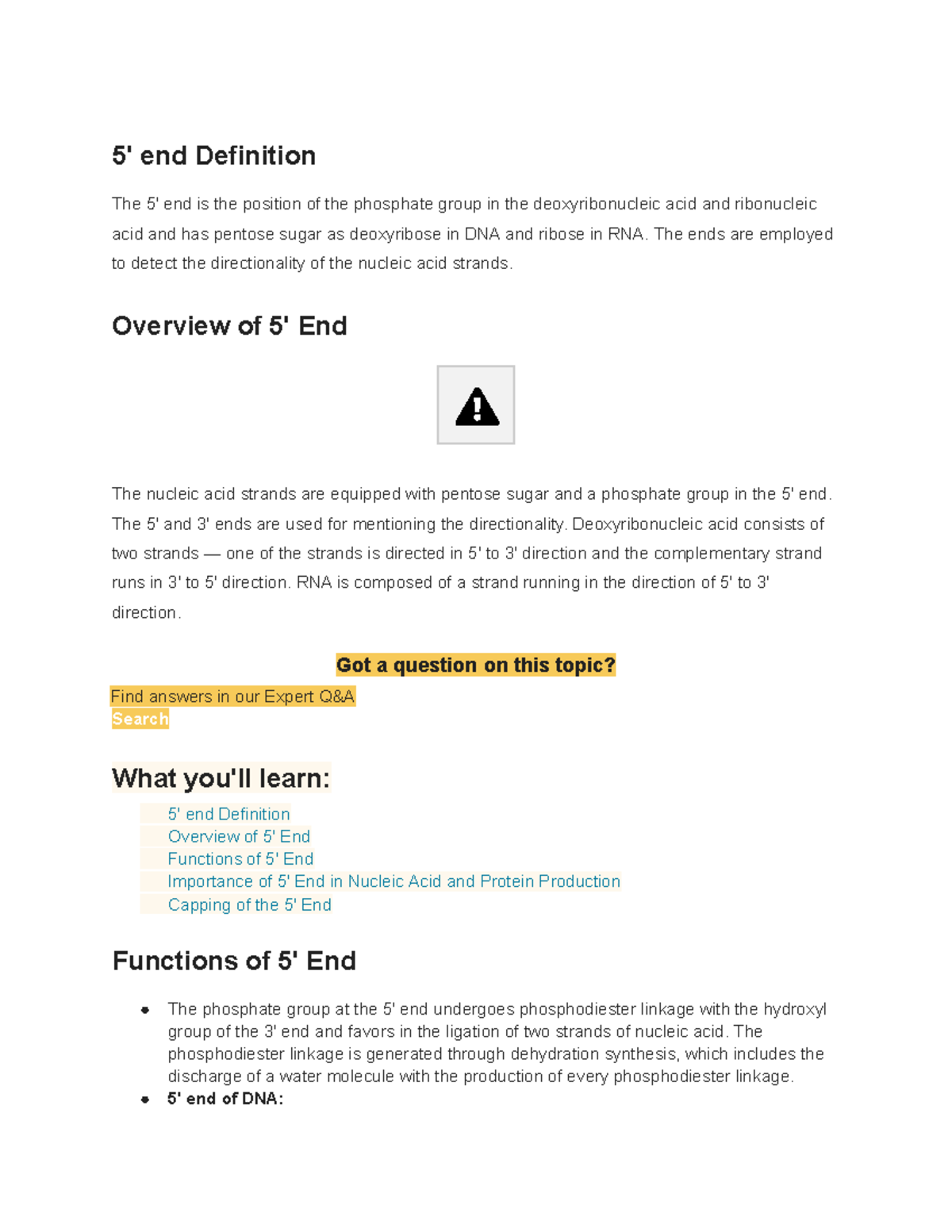 Biology - 5' end Definition The 5' end is the position of the phosphate ...