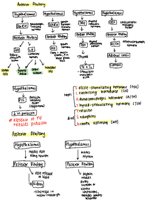 Unit 4 - Homeostasis - Homeostasis January 11, 2023 6:53 PM Homeostasis ...
