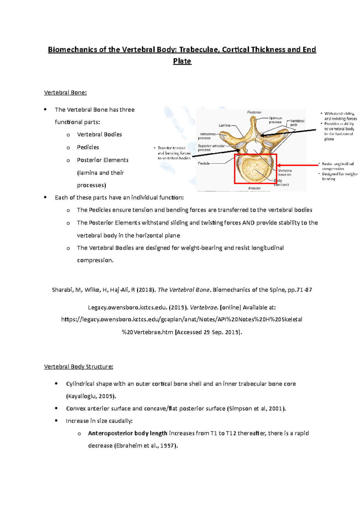 Lecture 3 - Biomechanics of the Vertebral Body: Trabeculae, Corical ...