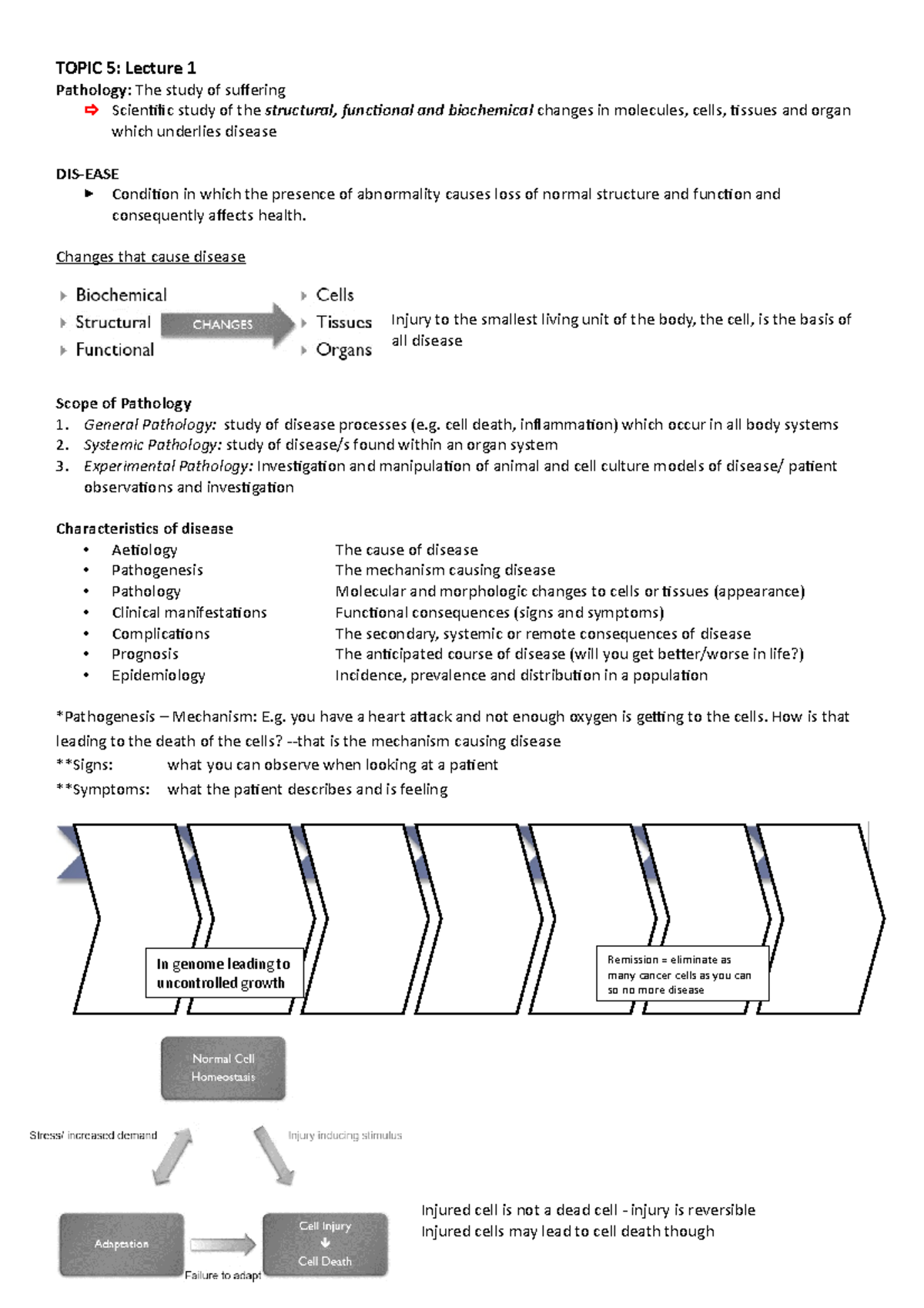 Topic 5 Pathology Lecture Notes ALL - TOPIC 5: Lecture 1 Pathology: The ...