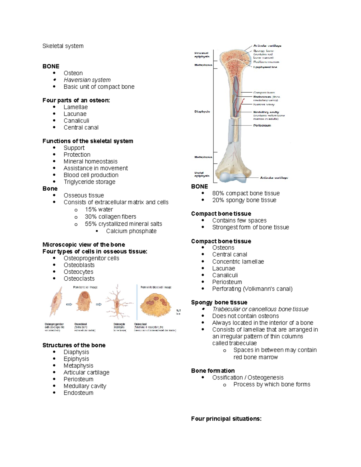 Skeletal system - Skeletal system BONE Osteon Haversian system Basic ...