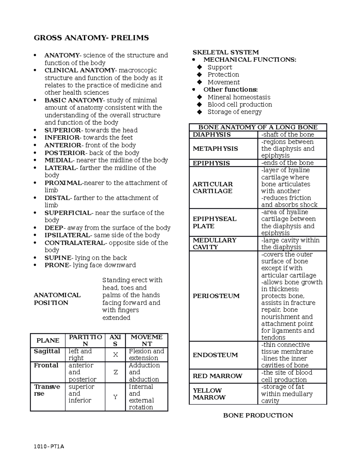 Gross Anatomy Prelim Reviewer - GROSS ANATOMY- PRELIMS ANATOMY- science ...