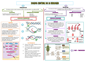 Semana 2 Practica 2 Informe Práctica Proteinas Enzimas 2021-10 ESTO- ENFE - OBST - UNIVERSIDAD ...
