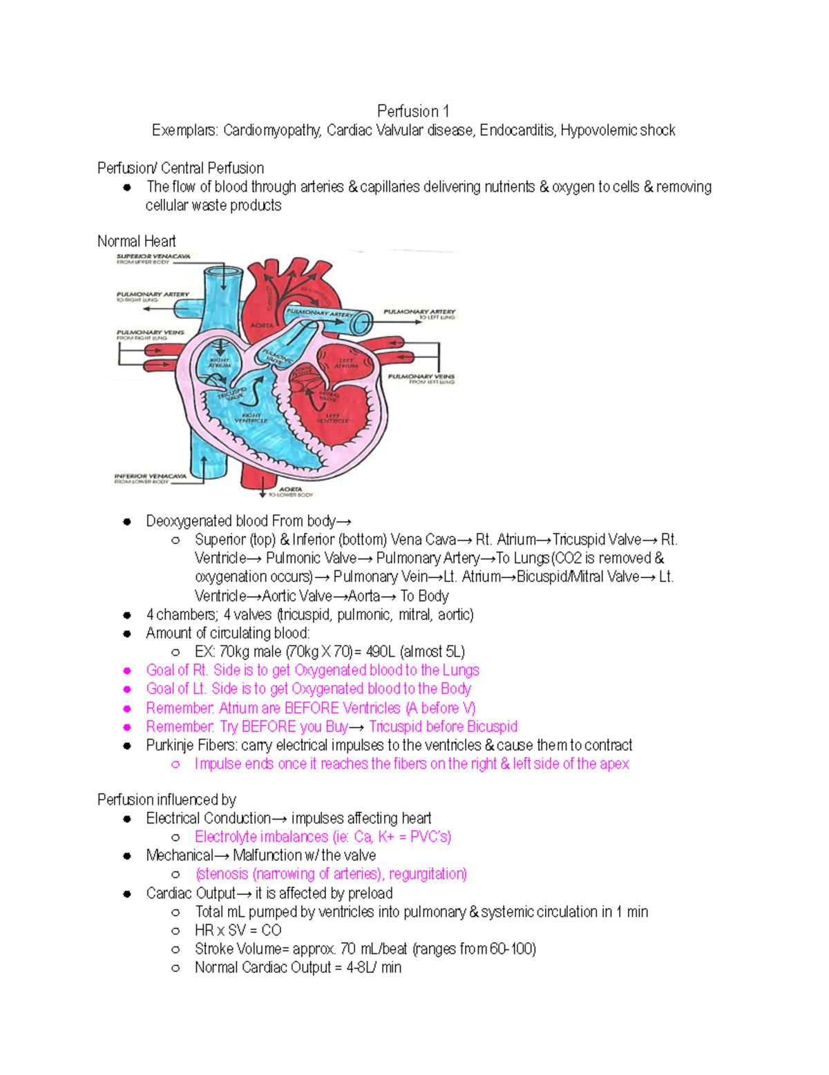 Perfusion 1 part 1 DONE - Perfusion 1 Exemplars: Cardiomyopathy ...