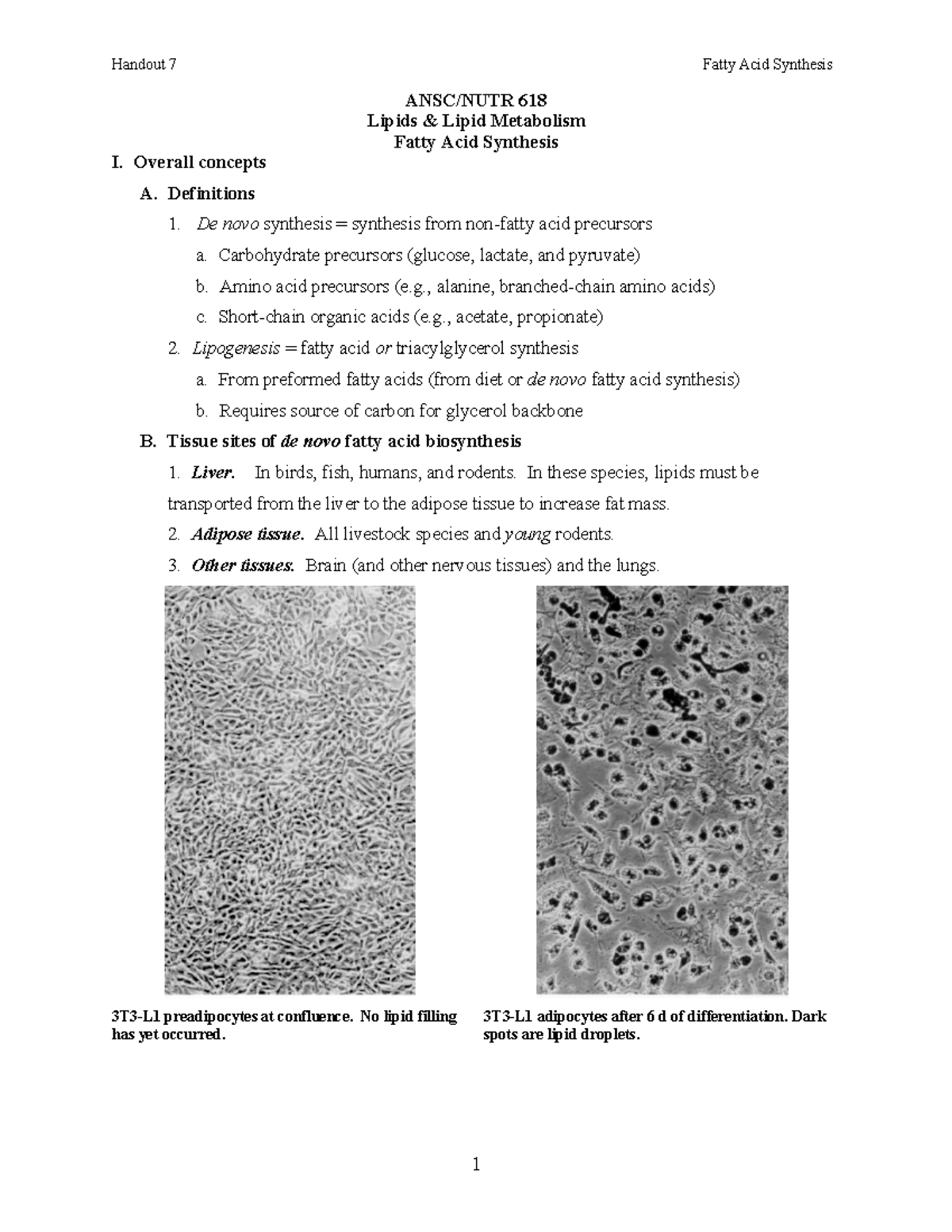 Handout 7 Fatty Acid Synthesis - ANSC/NUTR 618 Lipids & Lipid ...