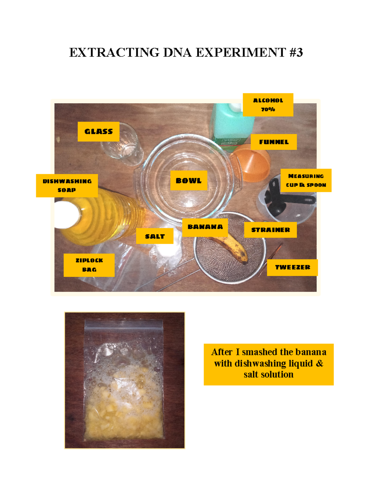 DNA Experiment (Banana) - Chemistry - EXTRACTING DNA EXPERIMENT bowl ...