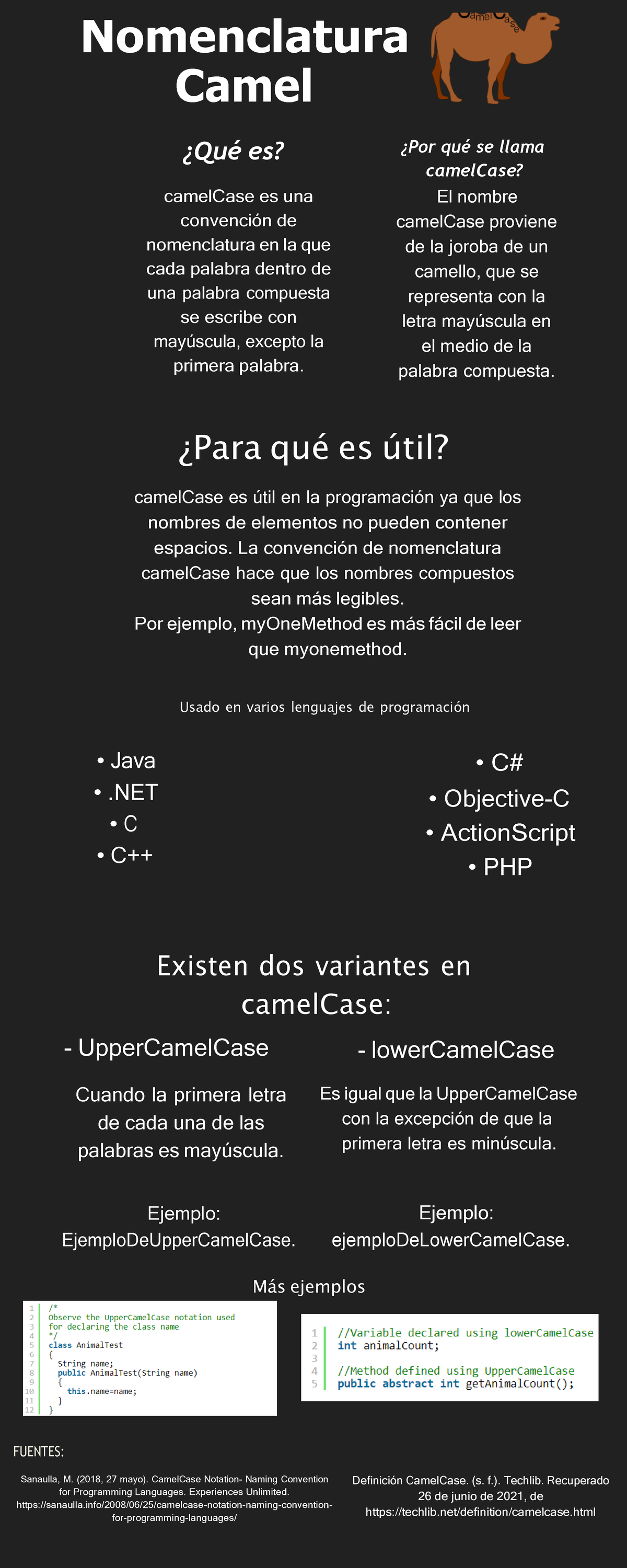 1 02 Infografía Camel - Nomenclatura Camel øQuÈ es? øPor quÈ se llama ...