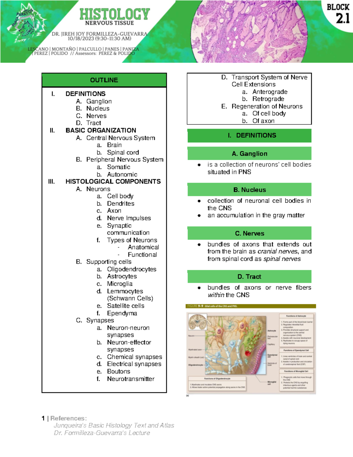 Nervous Tissue- Junqueiras - 1 | References: Junqueira’s Basic Histology Text and Atlas D ...
