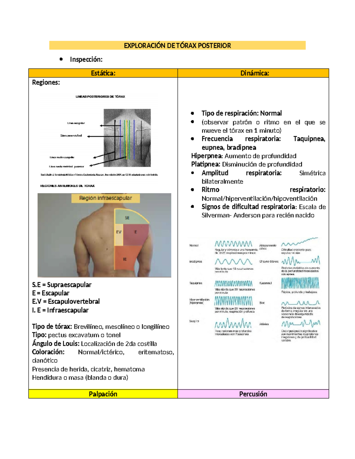 Exploración DE Tórax Posterior - EXPLORACIÓN DE TÓRAX POSTERIOR ...
