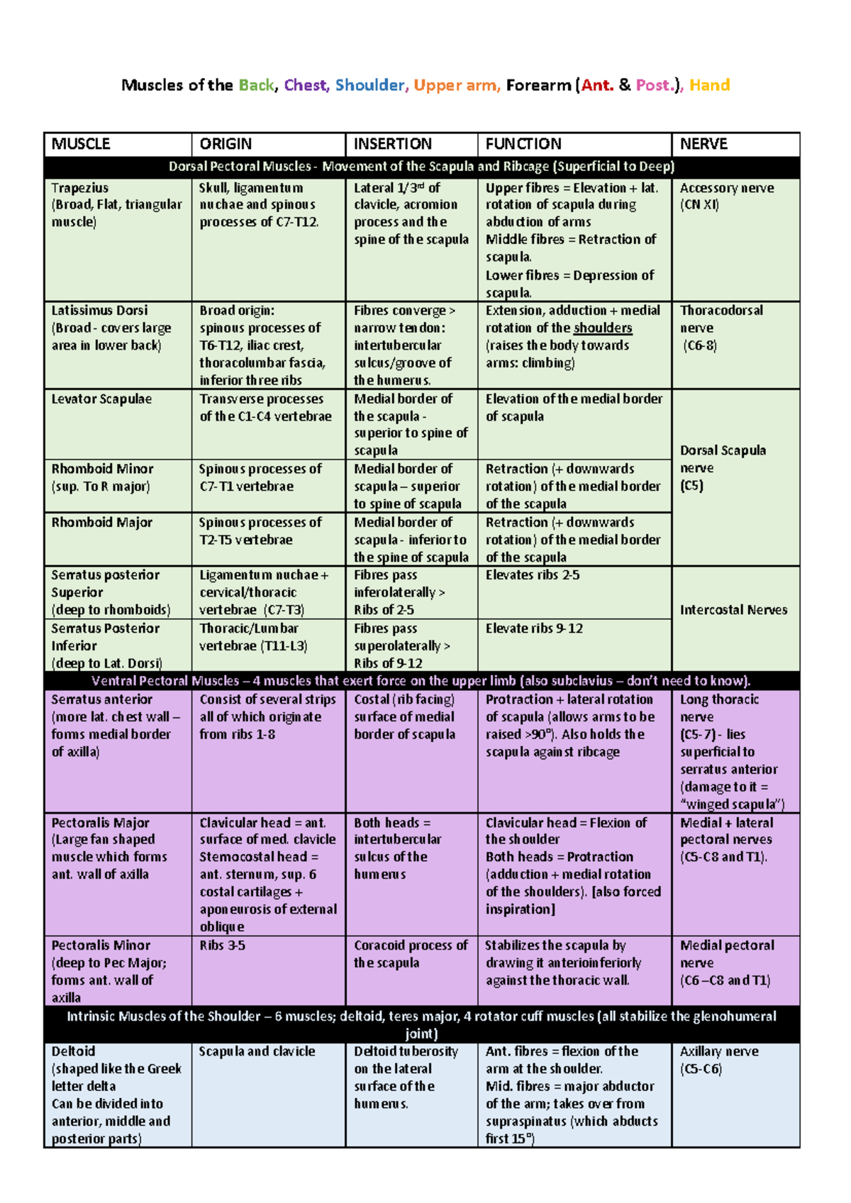 Muscles of the Upper Limb Table - MUSCLE ORIGIN INSERTION FUNCTION ...