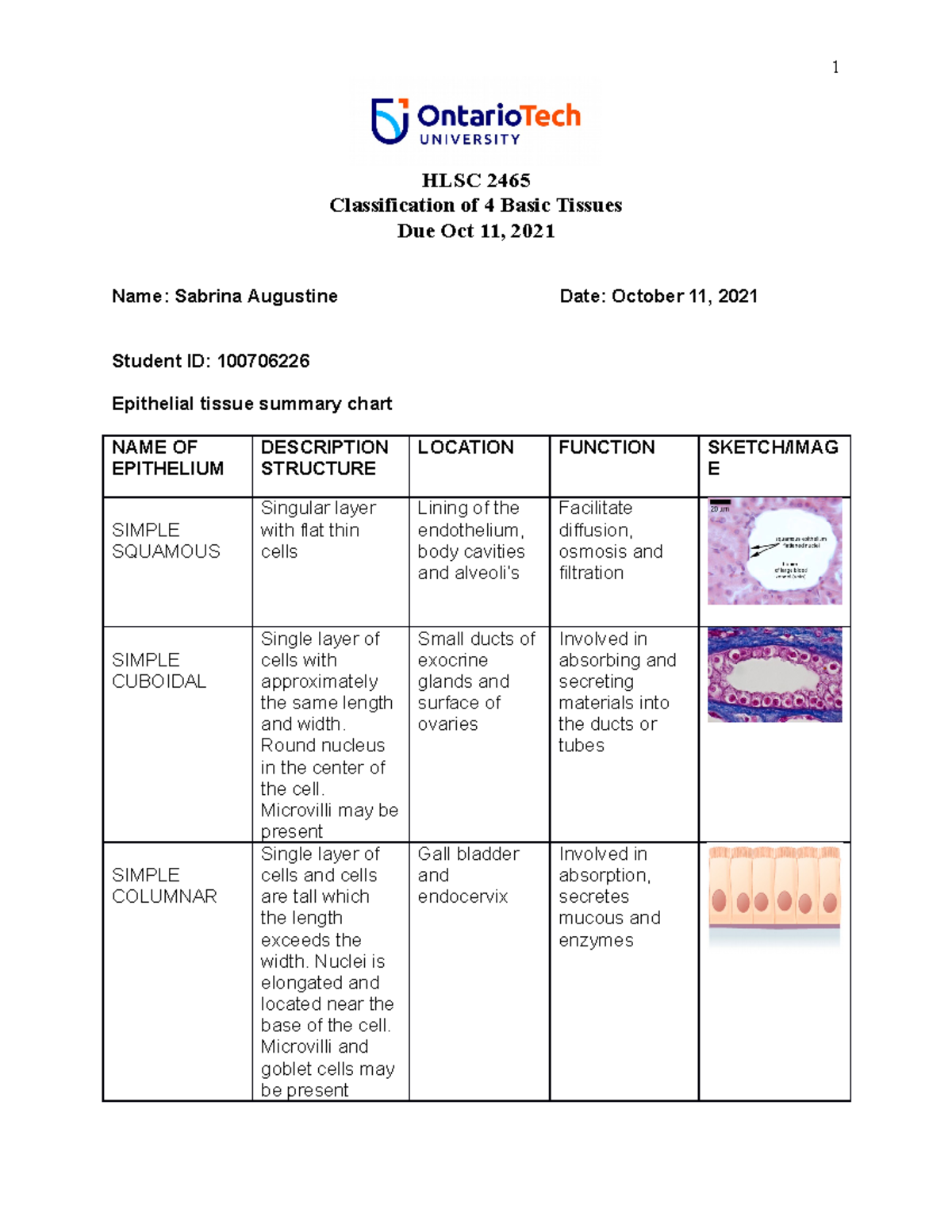 Classification of 4 Basic Tissues assignment 2021 (epithelium ...