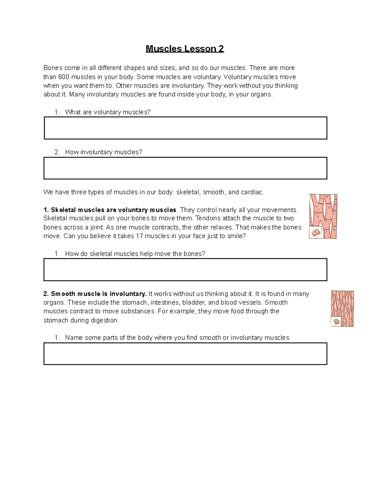 Muscles Lesson 2 - There are more than 600 muscles in your body. Some ...