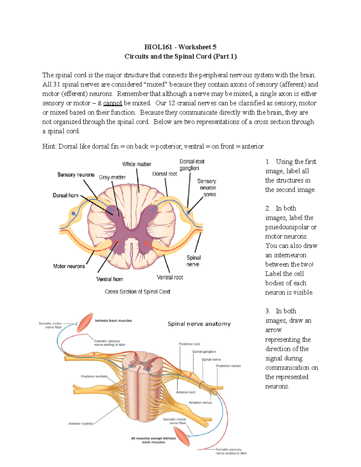Bio161 worksheet 5 - Professor Dann 2021 - Deprecated API usage: The ...