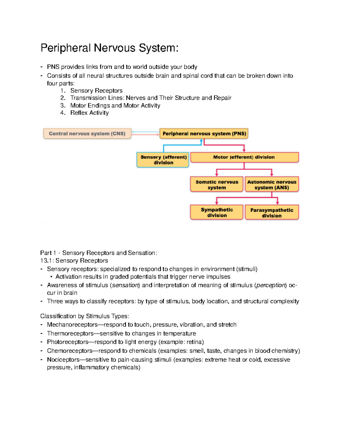 Peripheral Nervous System - Peripheral Nervous System: PNS provides ...