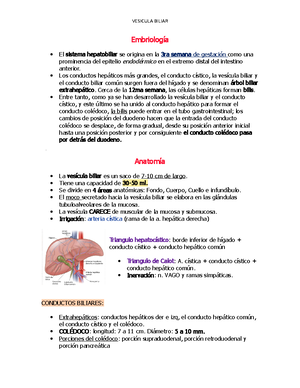 Acute Appendicitis Efficient Diagnosis and Management - July 1, 2018 ...