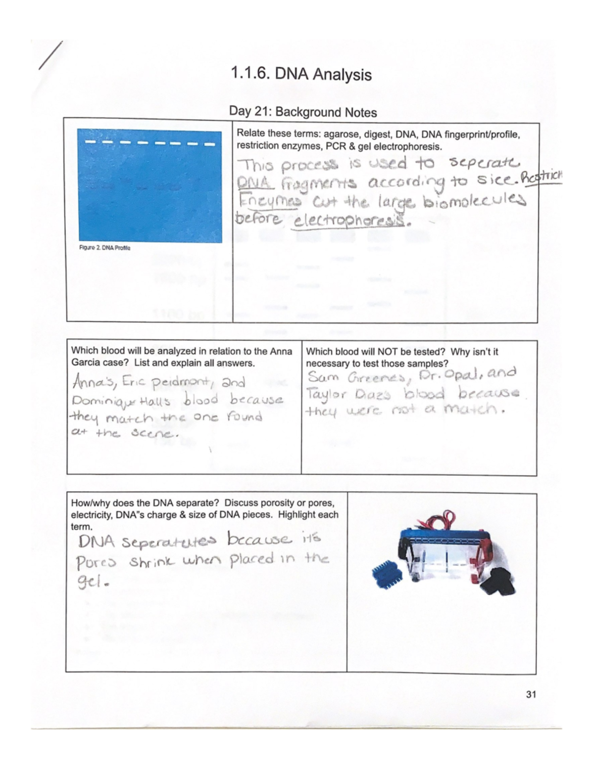 1.1.6. DNA Analysis - Studocu