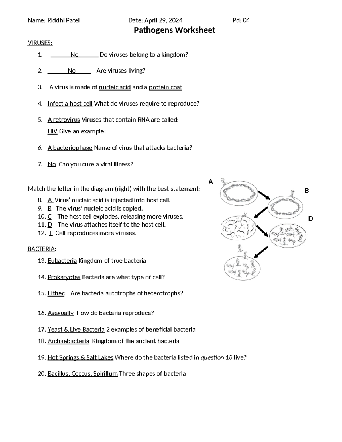 Riddhi Patel Pathogens Worksheet - Name: Riddhi Patel Date: April 29 ...